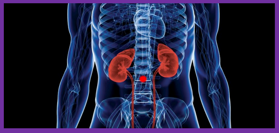 Dongui Bogam_27_The Frequency of Movements of Defense Qi