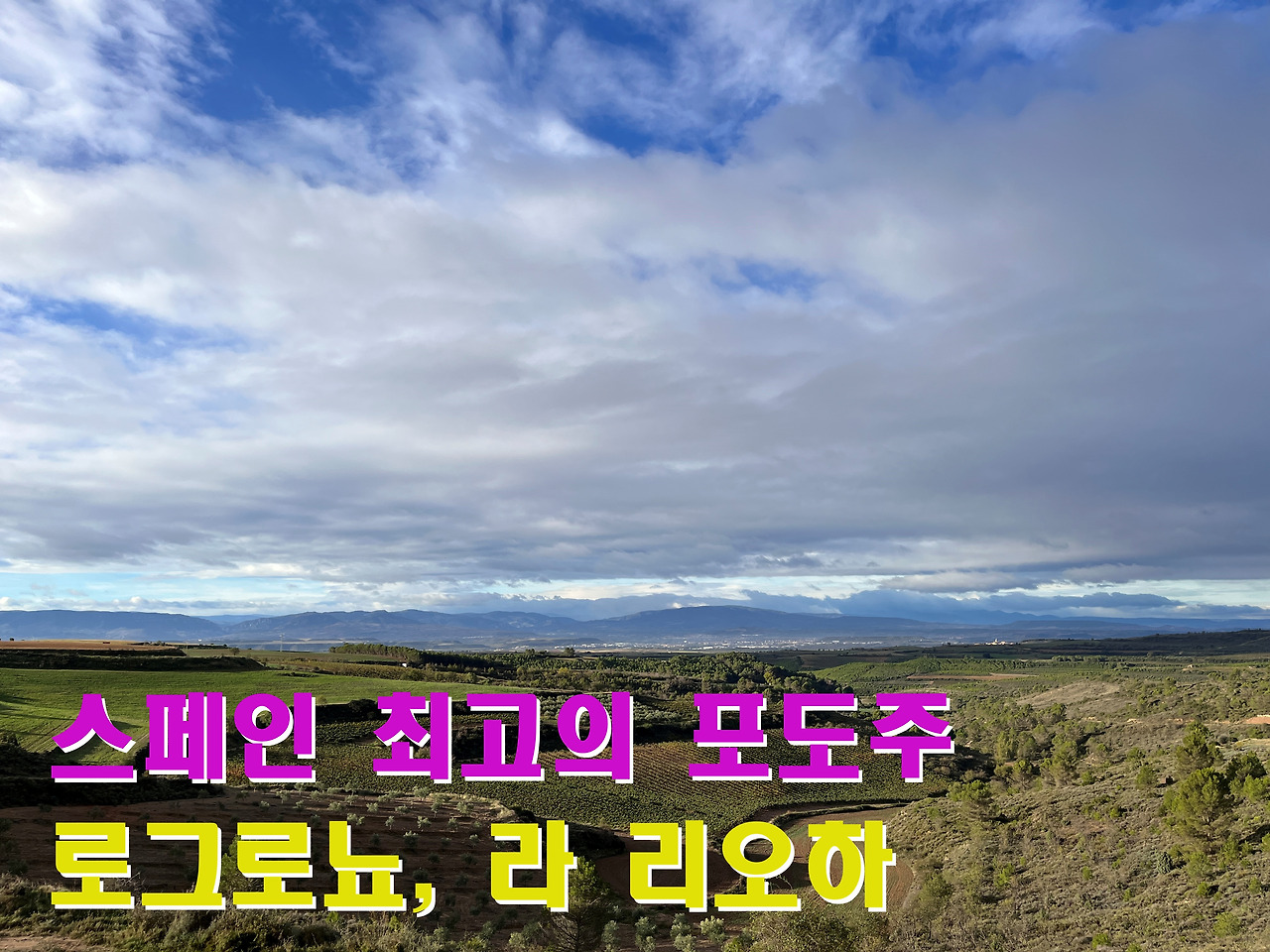 산티아고 순례길 후기10 1 스페인 최고의 포도주가 생산되는 라 리오하la Rioja지방의 중심도시 로그로뇨
