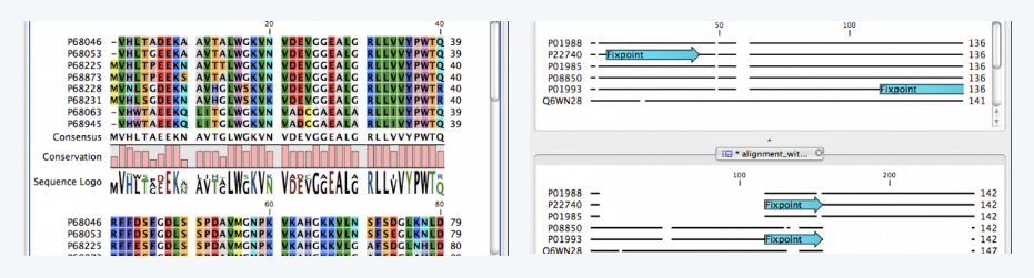 NGS 데이터 분석을 위한 솔루션 : CLC Genomics Workbench