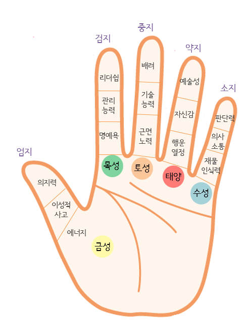 손금 보는 법 손가락 마디