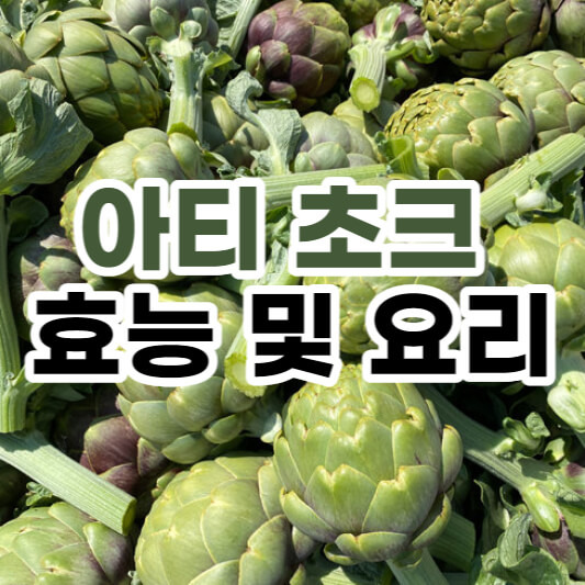 아티 초크 효능 및 요리와 김치 만들기