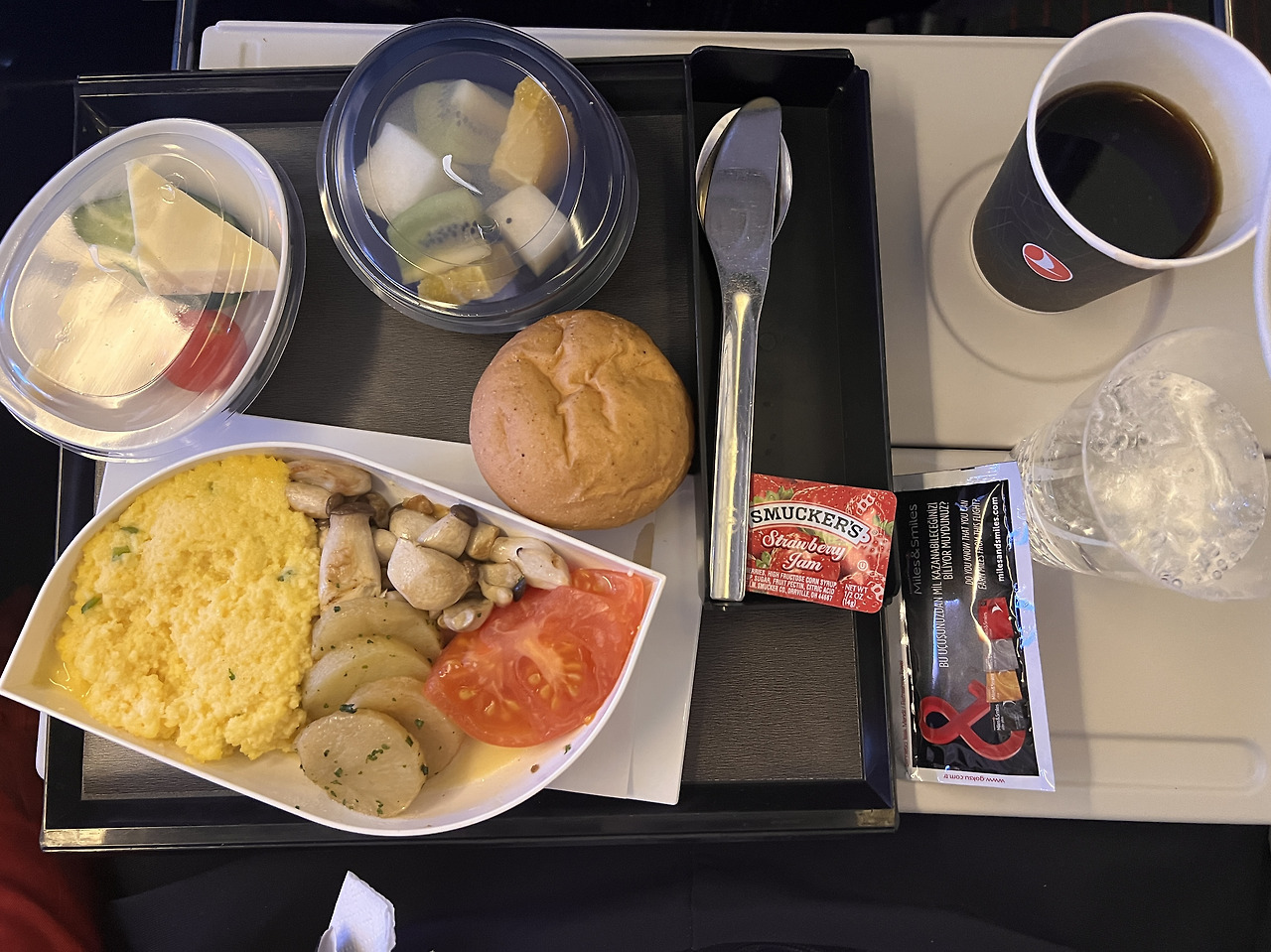 [터키항공 #1]인천-이스탄불 TK91 이코노미 탑승 및 기내식 상세 후기