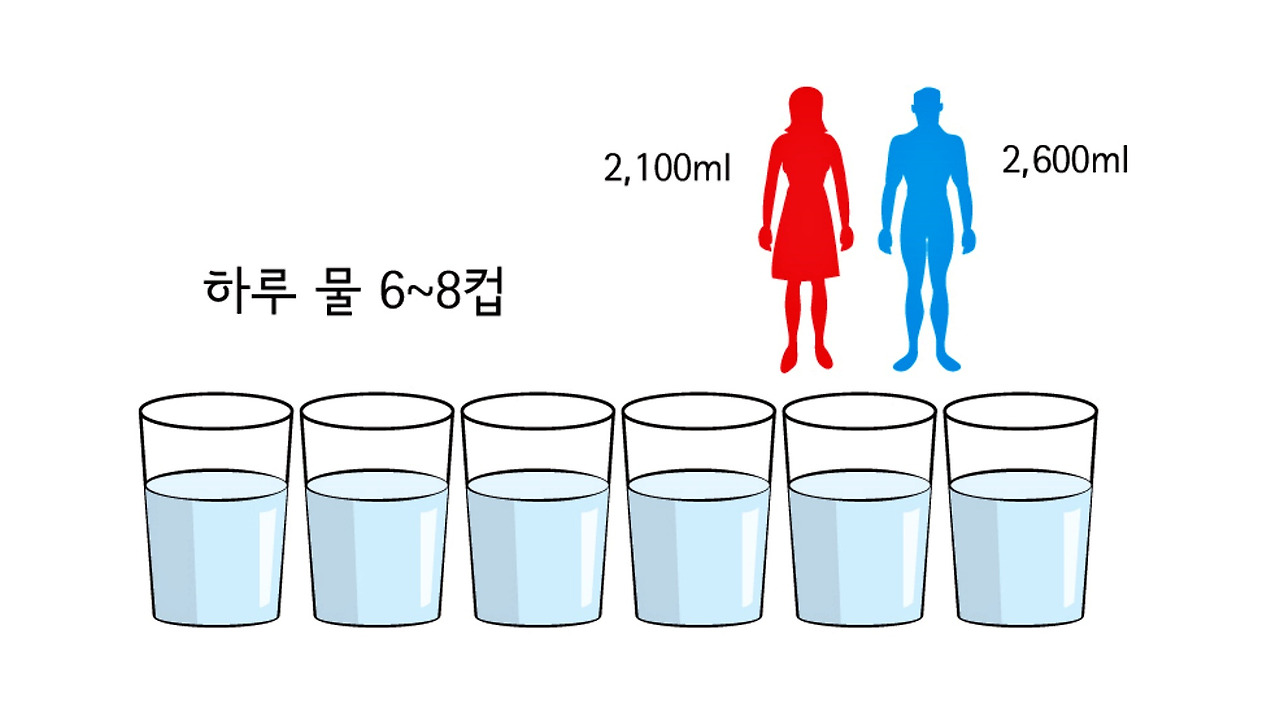 하루 물 섭취 다이어트 효과 아메리카노 커피 효과 있을까