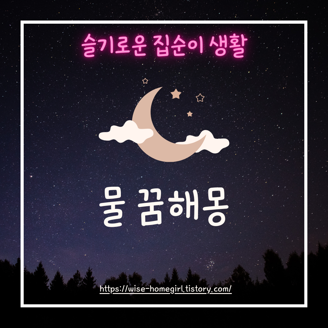 꿈해몽 물에 잠기는 꿈 물난리나는 꿈 등등 물과 관련된 꿈해몽🌊