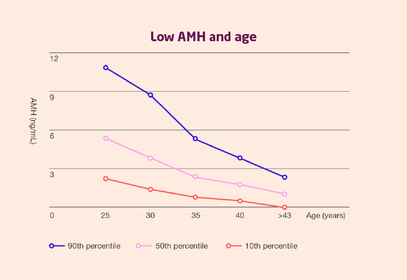 여성 임신 준비 : AMH 수치(난소 나이 검사) 낮으면 임신 어려울까?