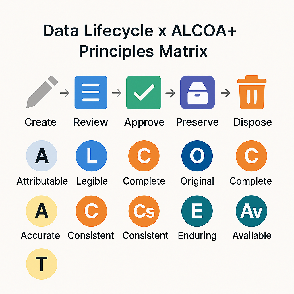 ALCOA+ 원칙 완전 정복:데이터 완전성(무결성)을 일상과 실무로 쉽게 이해하기
