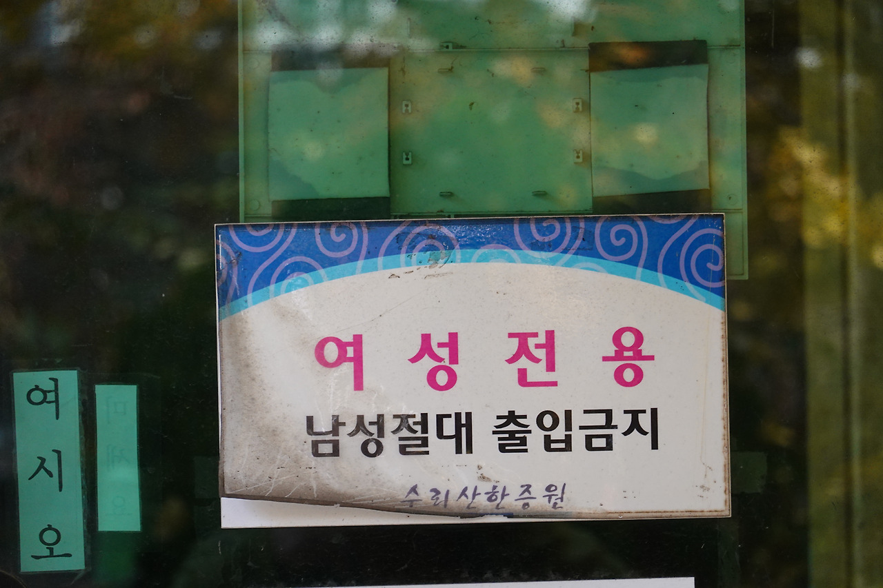 20221028 노란 은행잎 융단처럼 깔린 문닫은 수리산한증막