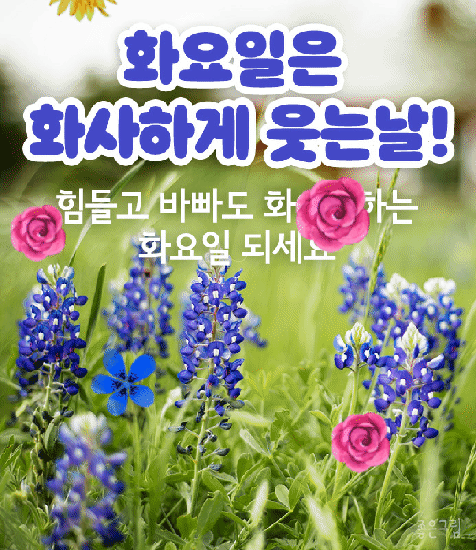 화요일 인사말 메세지 이미지 15가지 화요일 아침인사 파이팅 할 수 있는 마법의 문구들 생활 정보 관심이