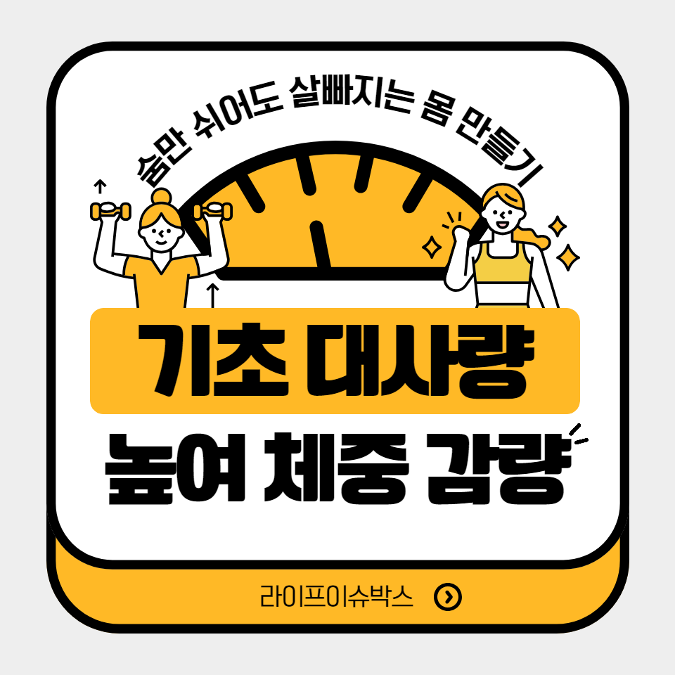 기초 대사량을 높여 체중을 감량하는 방법에 대해 알아보세요 건강한 생활방식을 통해 신진대사를 증진시키고 지속 가능한 체중