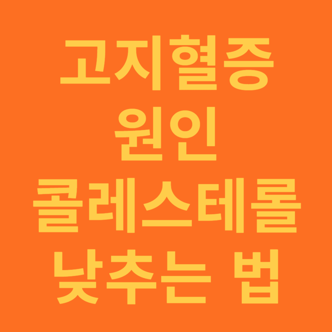 고지혈증이상지질혈증 원인 콜레스테롤 낮추는 효과적 방법