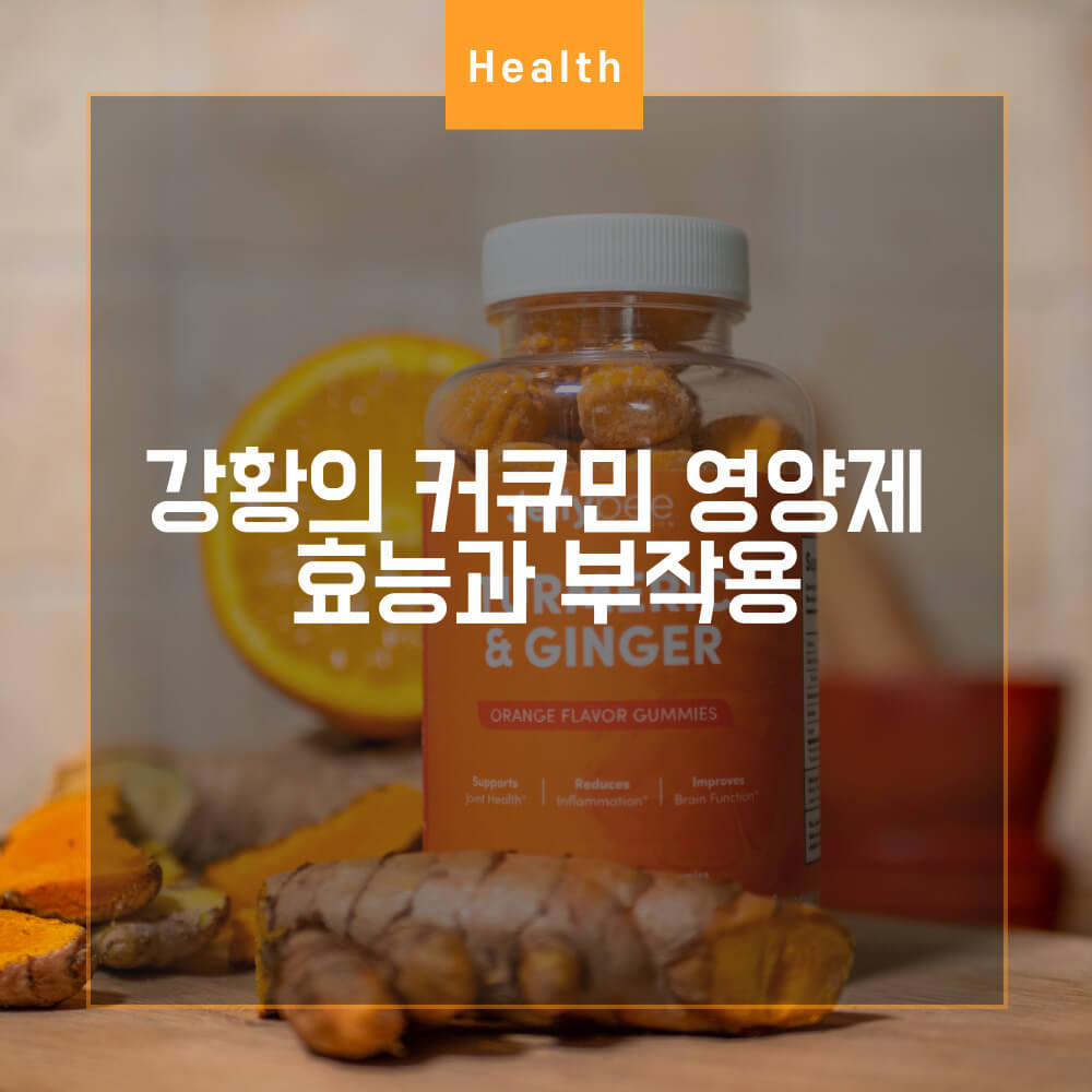 강황의 커큐민 영양제 효능과 부작용 — 건강이슈
