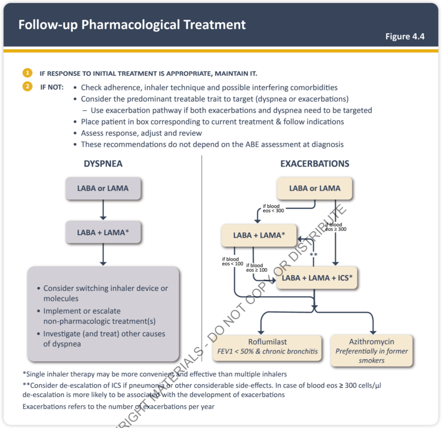 GOLD 가이드라인 2023, 몇 가지 중요 표와 그림