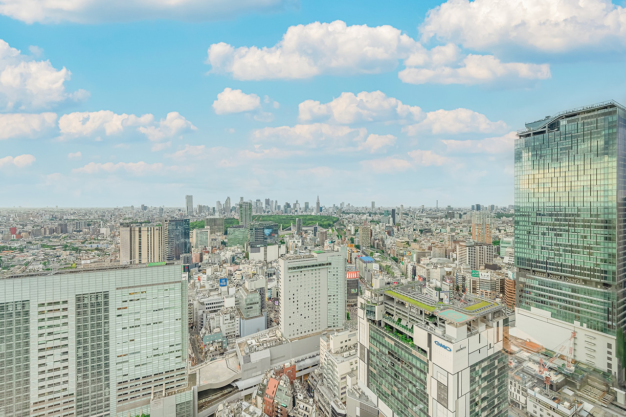 도쿄의 중심에서 호캉스 전망 좋은 시부야 고급호텔 세루리안 타워 도큐cerulean Tower Tokyu Hotel