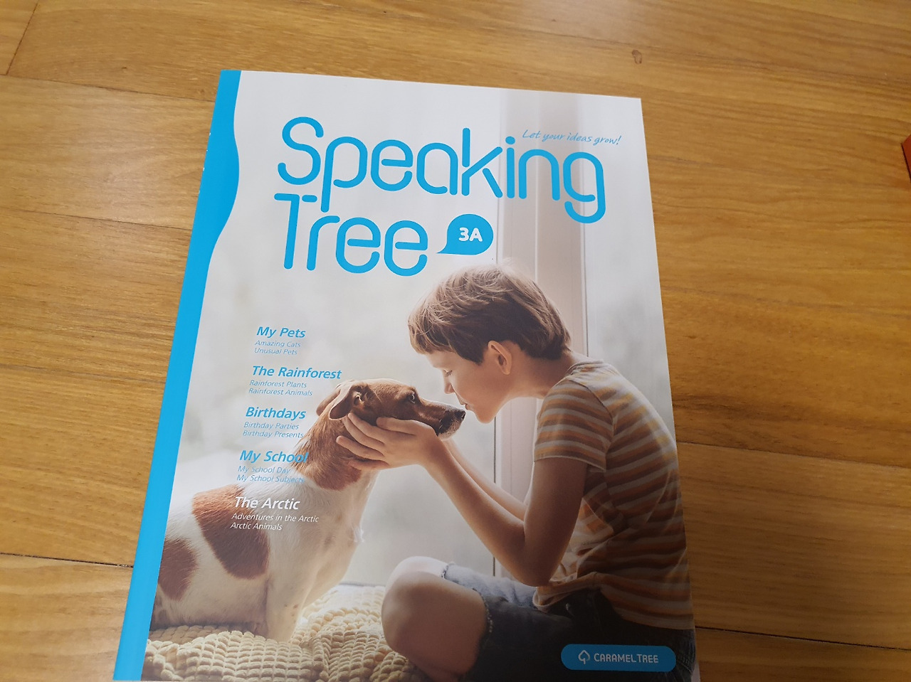 정상어학원 JLS - DT 시험을 통한 LSA레벨 진급