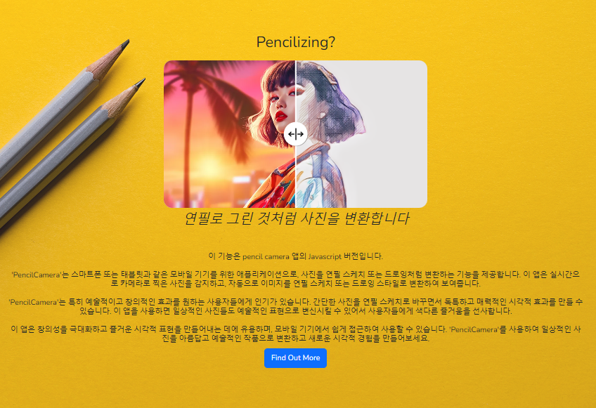 Pencilizing을 이용해 사진을 연필 드로잉으로 변환하는 방법에 대해 알아보자.