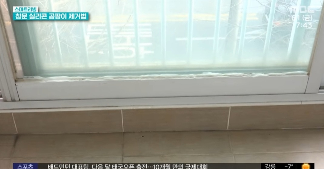 여름철 겨울철 집안 창문 실리콘 곰팡이 제거하는 방법 Ft 락스 이용 과산화수소 이용 홈스타 이용 스토리브이