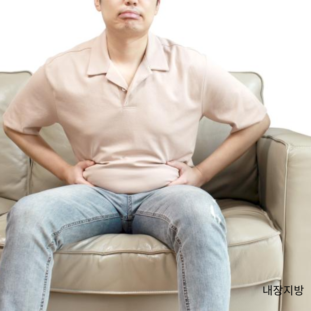 내장지방의 위험성과 줄이는 이유