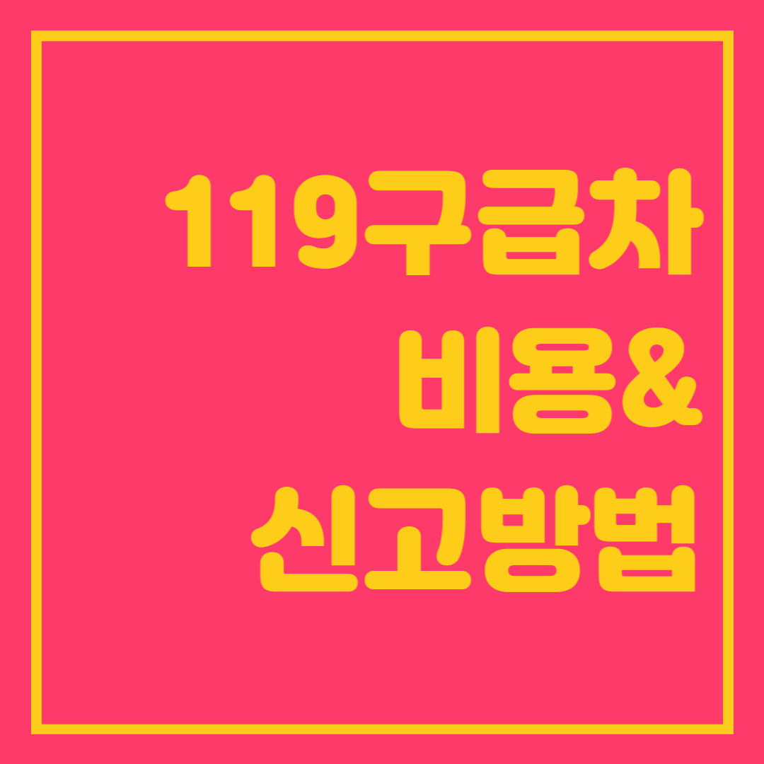 119 구급차 비용 사설 구급차 129