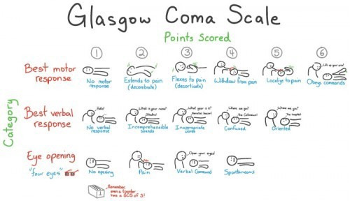 의식평가척도 LOC[Level Of Conscious] / GCS[Glasgow Coma Scale]