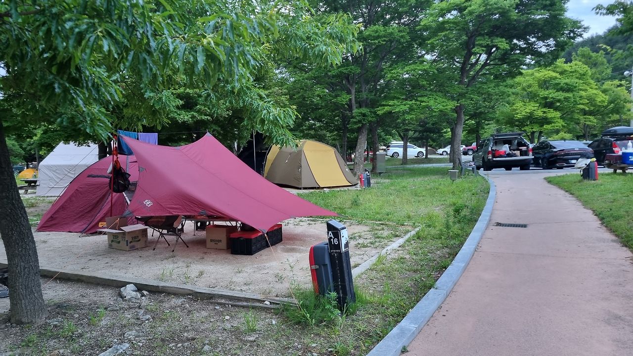 설악산 설악동 캠핑장 야영장 배치도 A영지 국립공원야영장예약 정보