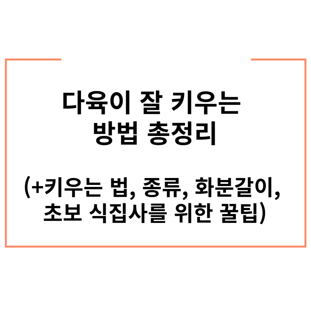 다육이 키우는 방법 총정리키우는 법 종류 화분갈이 초보 식집사를 위한 꿀팁