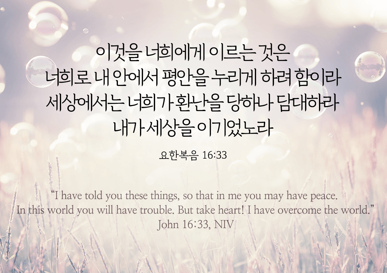 마음에 꼭 요한복음 16장 33절 칼럼 세상 속 평화 예수 안에서 얻드라