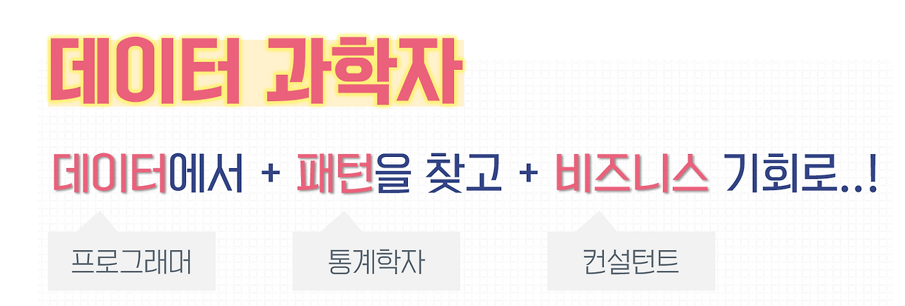 21세기 가장 섹시한 직업 데이터 과학자