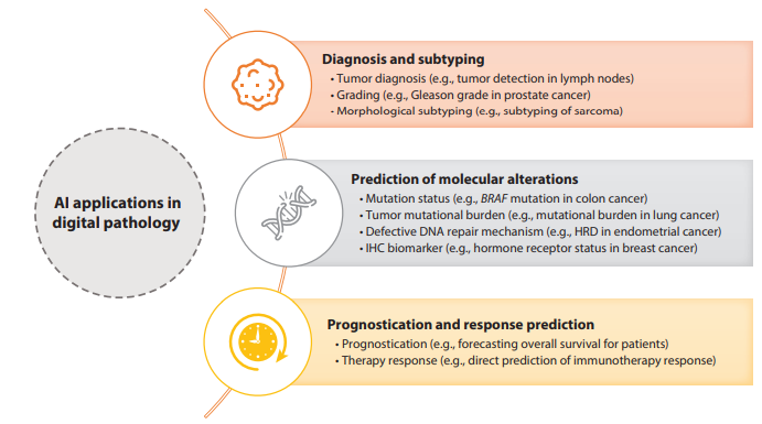 AI in Computational Pathology of Cancer: Improving Diagnostic Workflows and Clinical Outcomes?