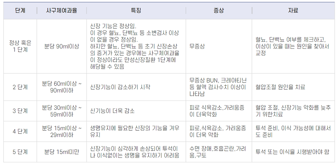 신장 기능을 알아보는 사구체여과율egfr 수치 알아보기 365 건강생활