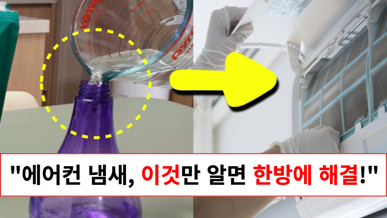 에어컨 쉰내 이것만 알아두면 말끔하게 해결됩니다” 삼성 Lg 고객센터에서 직접 알려 준 실내 에어컨 냄새 100 제거하는