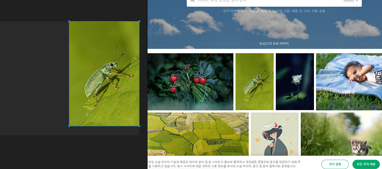 [PureRef] 레퍼런스 모아두기 좋은 프로그램 추천