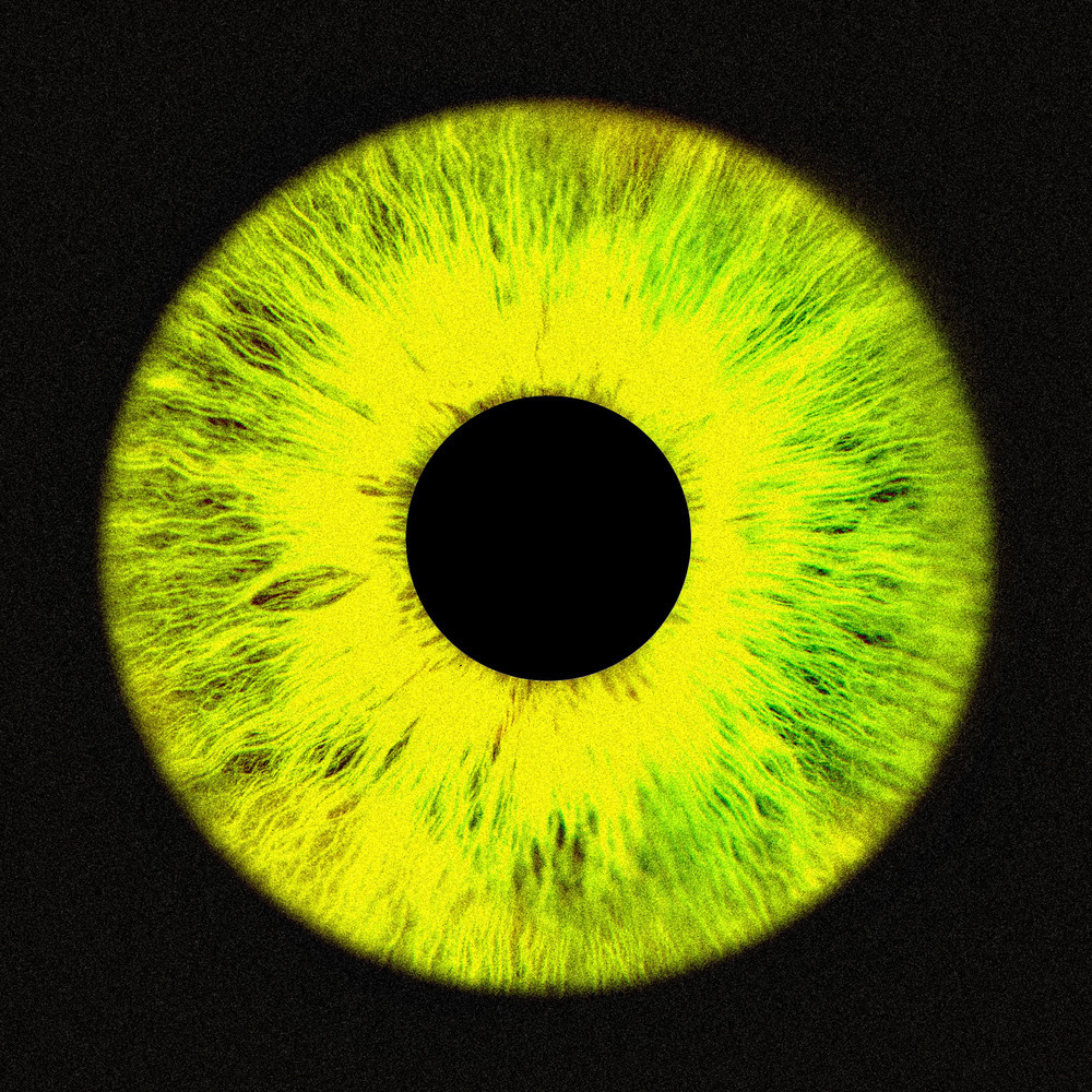 NO:EL - High and low (Feat. hiko) (가사/듣기)