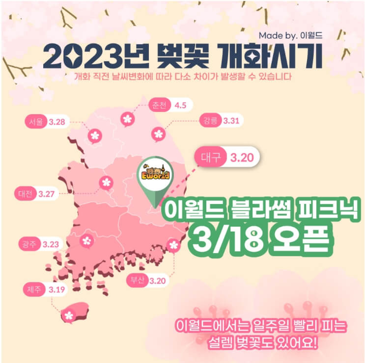 대구시 벚꽃 축제 국내 최대 벚꽃 축제 이월드 블라썸 피크닉 알아보기