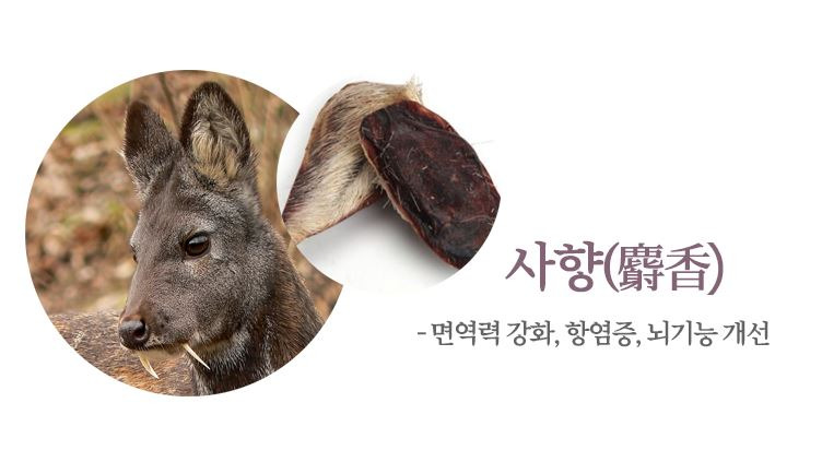 공진단 효능원료별 5가지 가격은 비싼가요 Elastic Sourcex