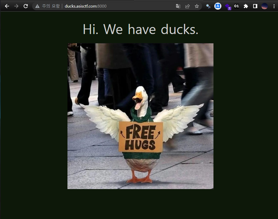 [ASIS CTF] Beginner ducks Writeup