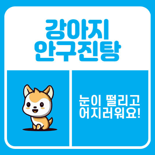 강아지 안구진탕 원인과 증상 강아지 눈이 떨려요