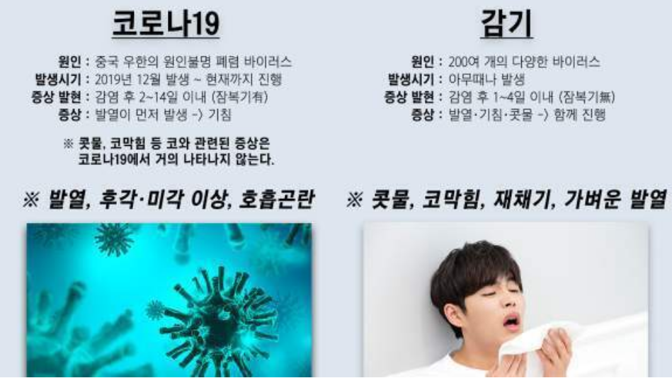 감기와 코로나 차이 증상 구별방법