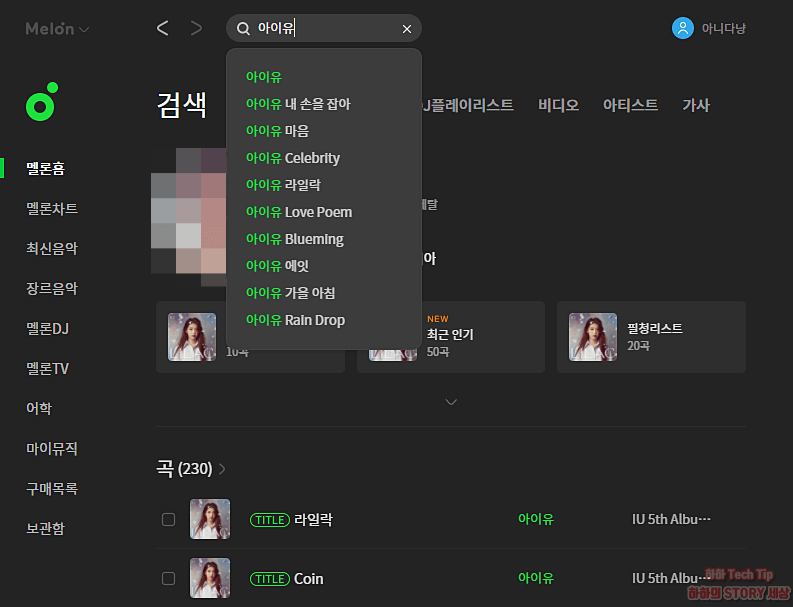 멜론 플레이어(Melon Player) 다운로드 및 PC 버전 사용법