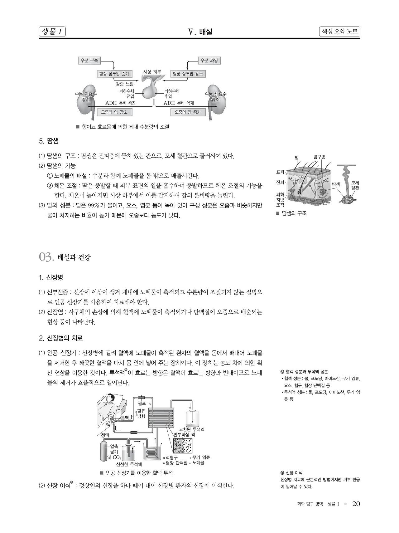 생물 핵심 개념 정리 노폐물의 생성 배설 기관신장 수뇨관 방광 요도 오줌의 생성여과 재흡수 분비 땀샘