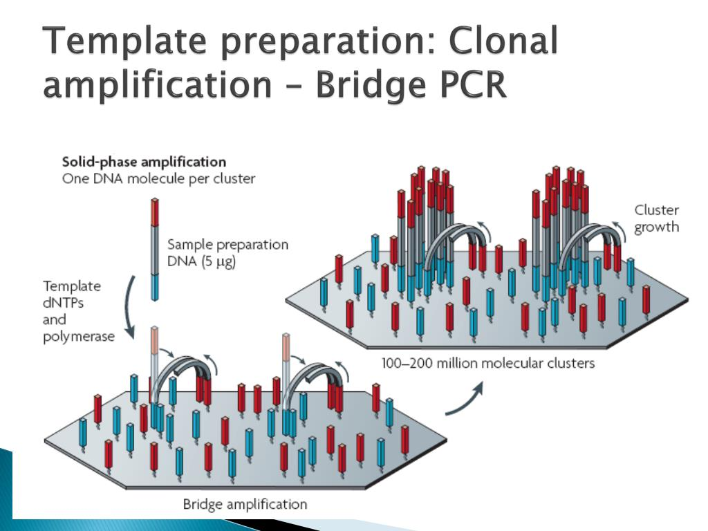 NGS (Next Generation Sequencing)의 개념, 원리, 방법, 적용 분야