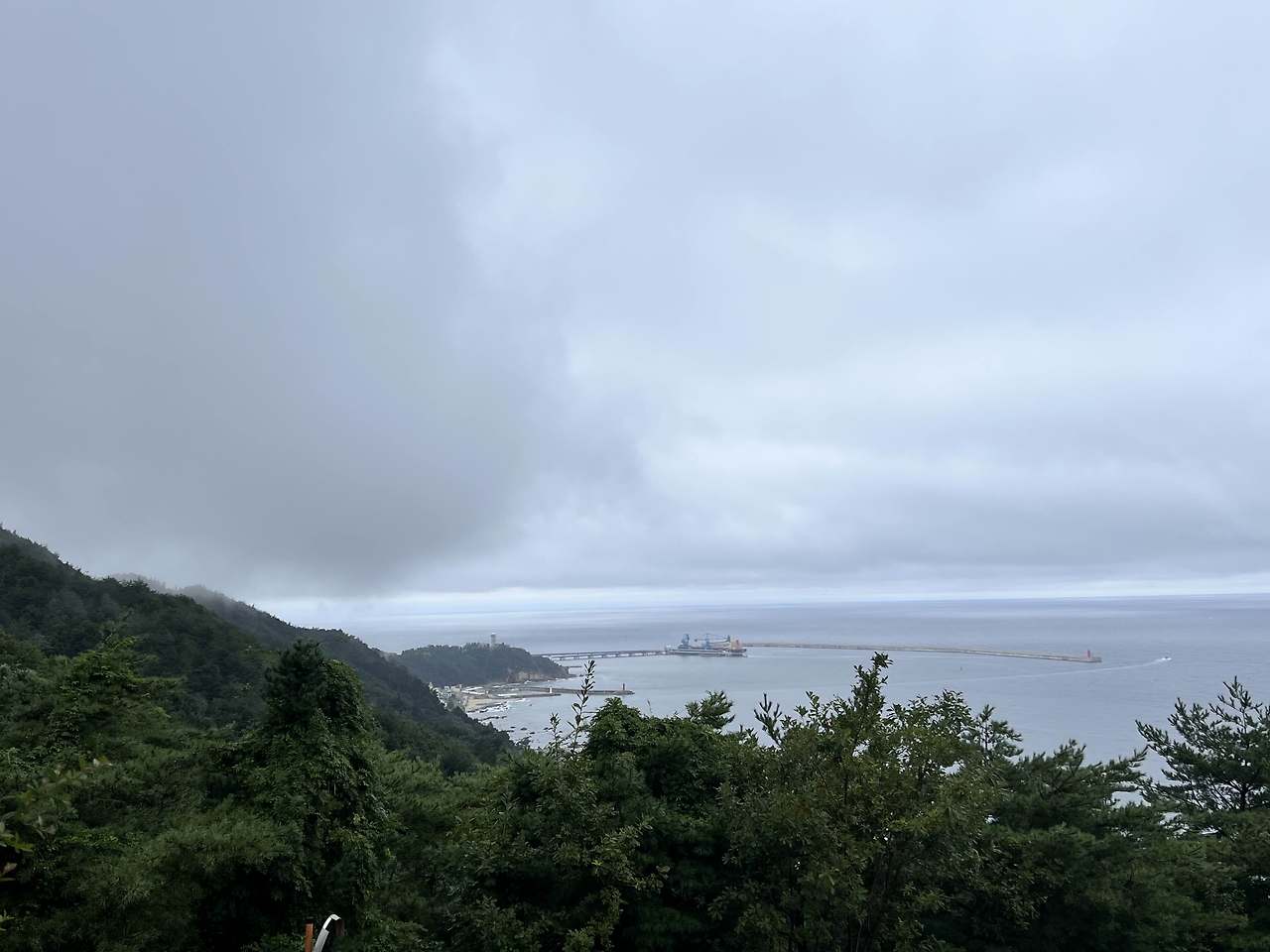 강릉 임해자연휴양림 하늘동 204호 횡성 큰집족발 식탁 위 따듯한 밥