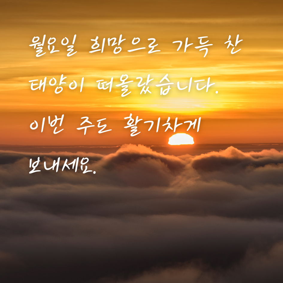 월요일 아침 인사말 이미지 문구 모음