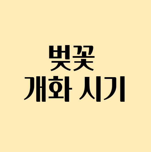 오늘은 벚꽃 개화 및 만개 시기 알려드리도록 하겠습니다