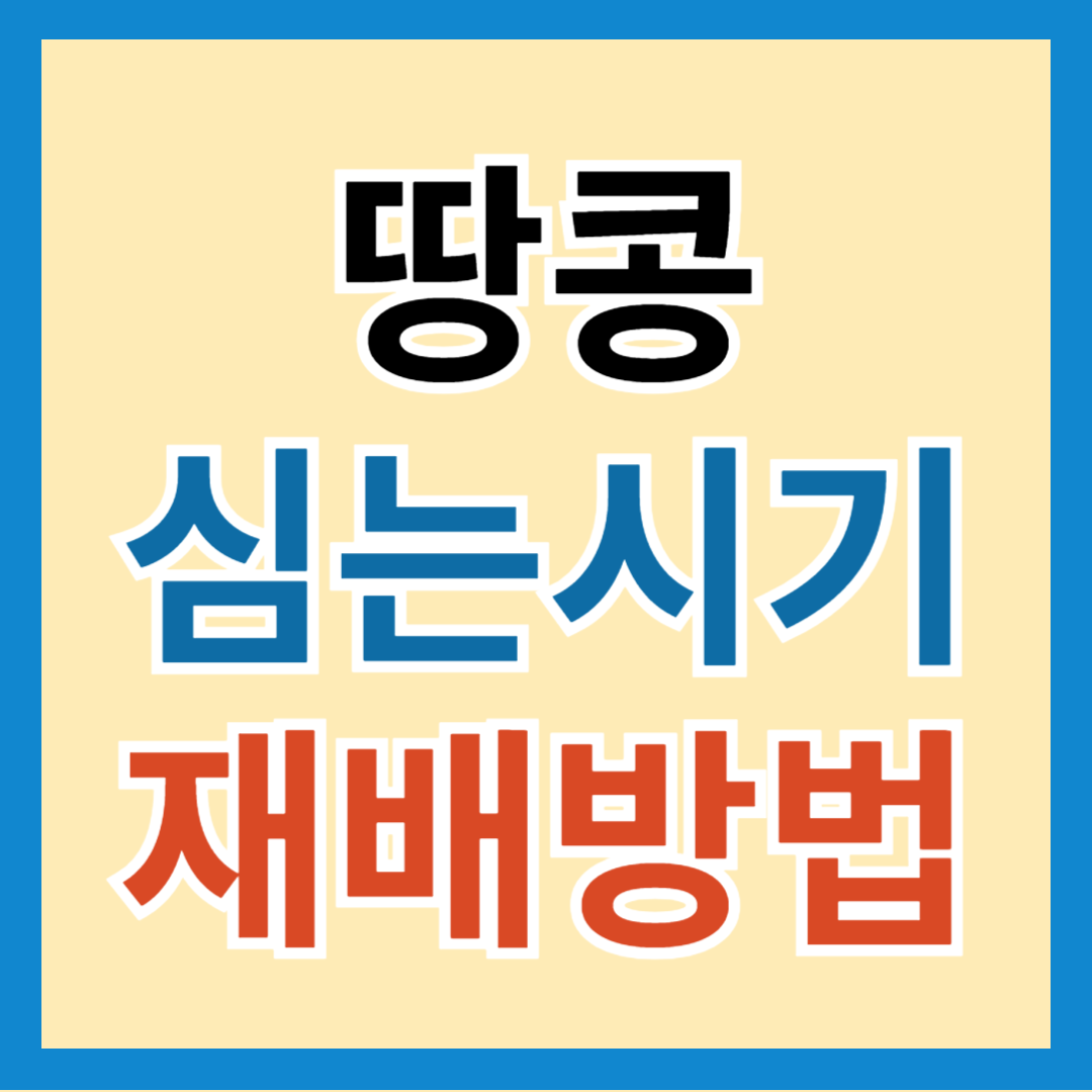 남부 중부지방 땅콩 파종 심는 시기 재배 방법 및 수확 시기 효능
