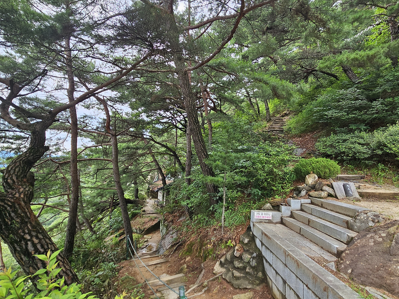 제천가볼만한곳 제천 금수산 정방사