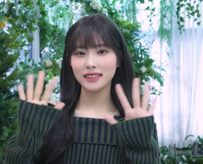 강혜원 프로필 핵심요약 자기소개 나이 본명 과거