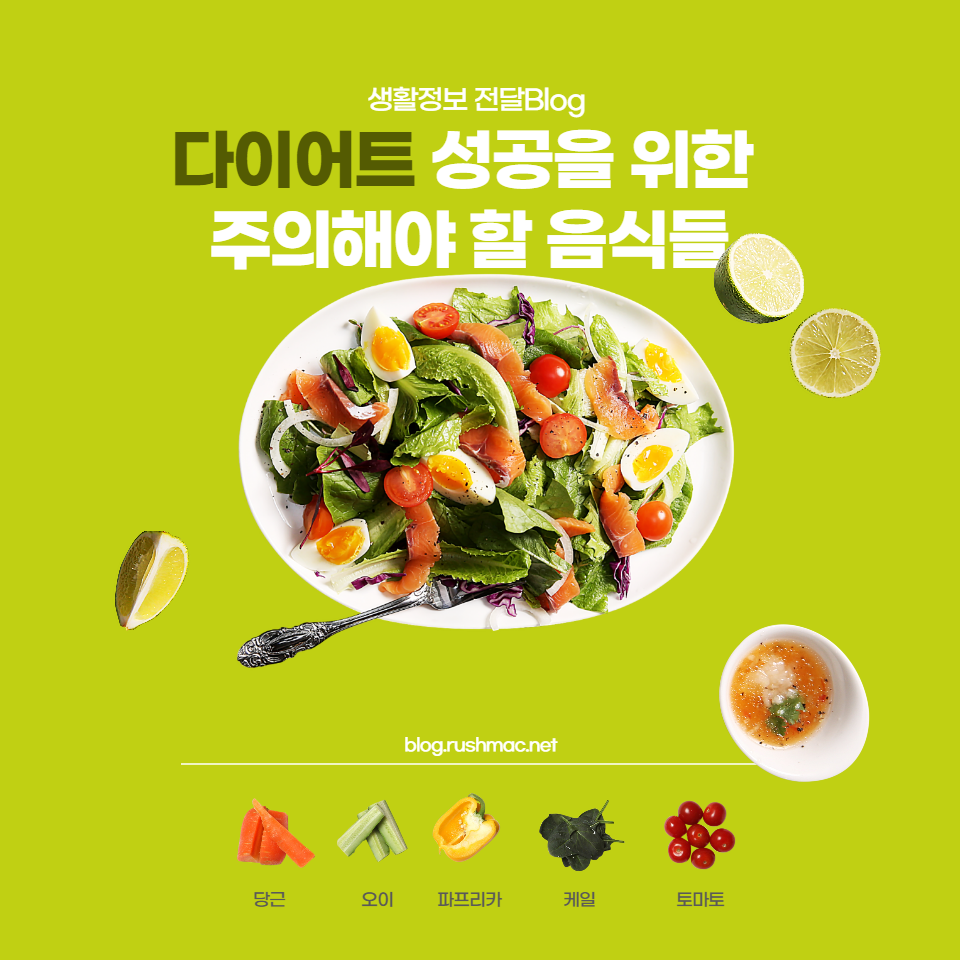 식단 방해 요소를 극복하고 건강한 다이어트를 유지하는 방법을 알아보세요 호르몬 교란을 막는 식단 효과적인 다이어트 제품 피해야 할 음식 등에 대한 전문적인 조언을 제공합니다
