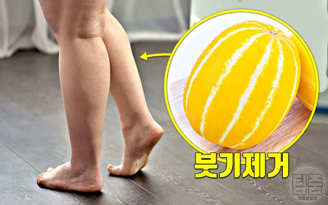 참외 효능 7가지 참외씨 참외껍질 참외꼭지 효능 참외부작용 하루섭취량