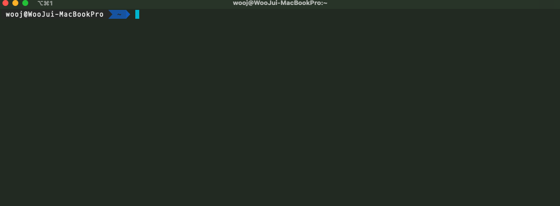 [Github] 깃허브 Repository에 로컬 저장소 연결 및 Push 하는법 — 천방지축 어리둥절 돌아가는 WooJ's 개발 모험