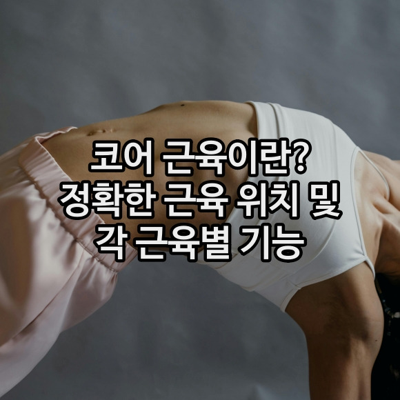 코어 근육이란 5가지 세부 근육 위치 및 기능